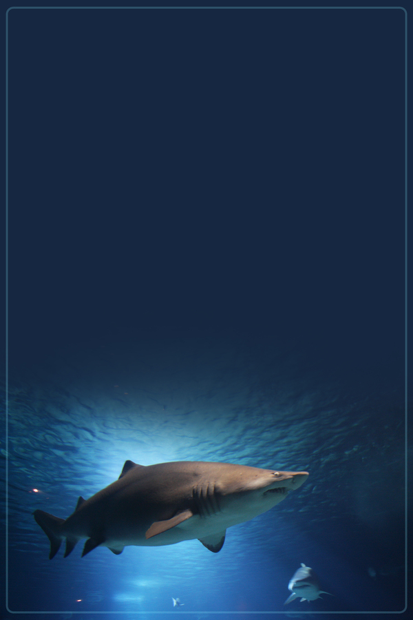 Poster Background | PosterMyWall