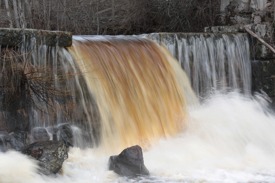 Poster Background | PosterMyWall