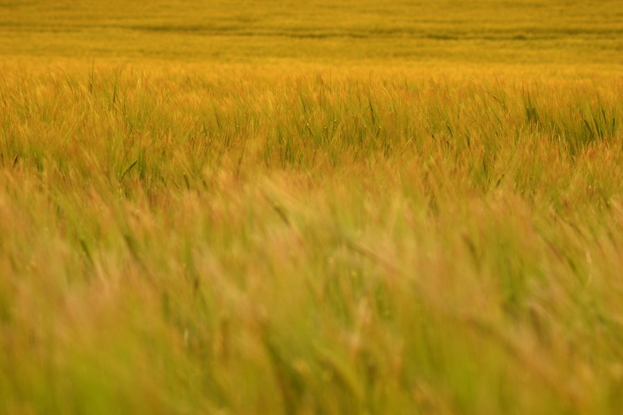 Poster Background | PosterMyWall