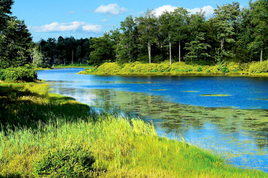 Poster Background | PosterMyWall