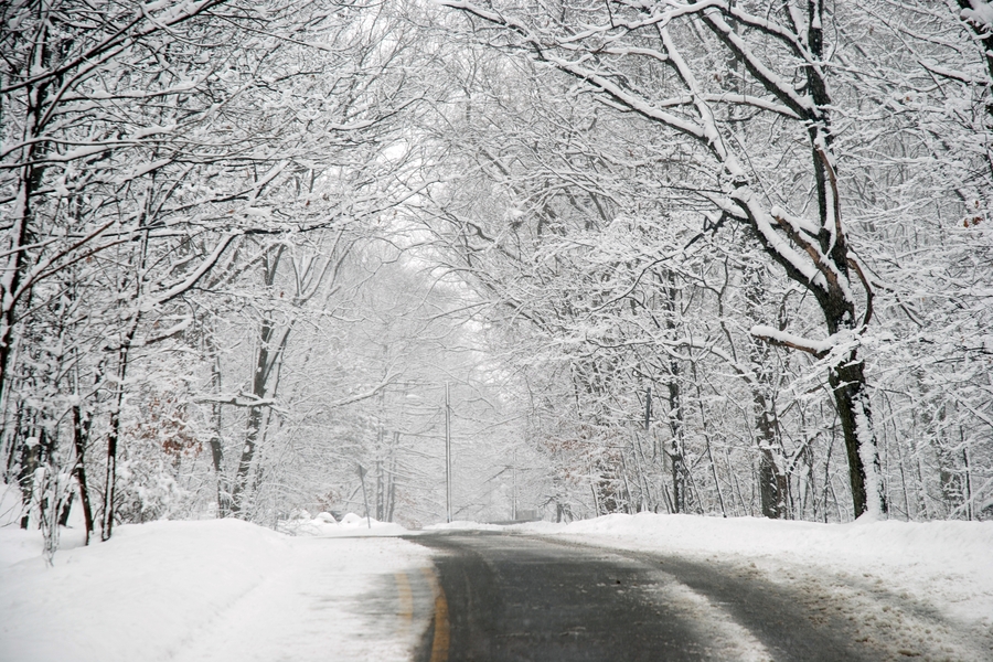 Poster Background | PosterMyWall