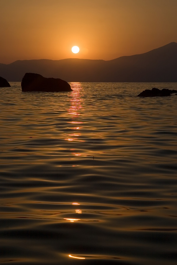 Poster Background | PosterMyWall