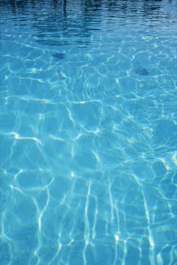 Poster Background | PosterMyWall