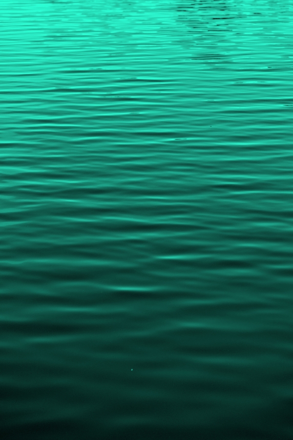 Poster Background | PosterMyWall