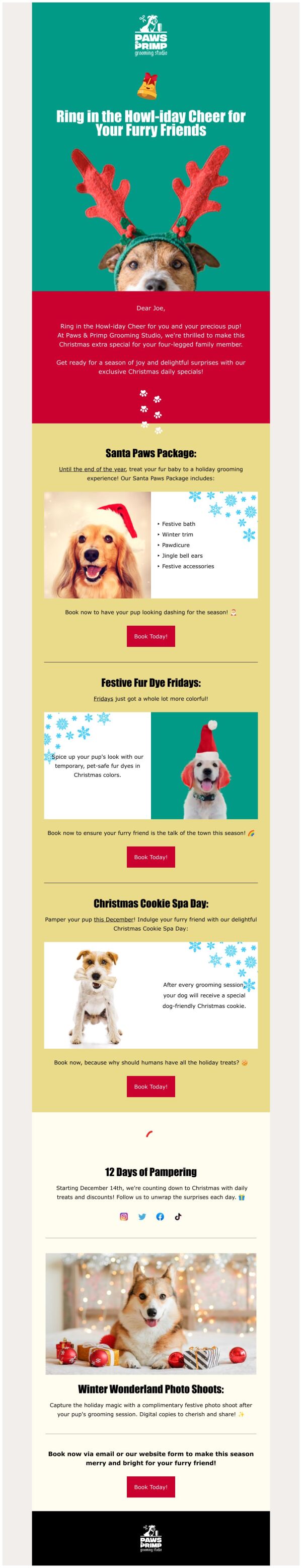 Daily Specials Email Template 'Grooming Studio' for Christmas ...