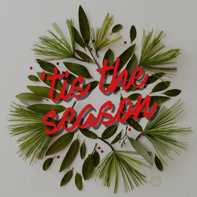 'Tis the Season Template | PosterMyWall
