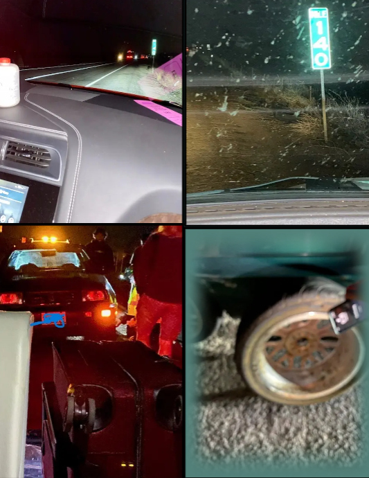 Copy of Human Rights Slogan Flyer Template | PosterMyWall