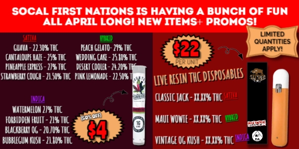 Copy of Presidential Campaign Election 2020 email ad | PosterMyWall