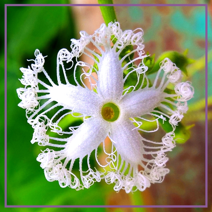 032 Template | PosterMyWall