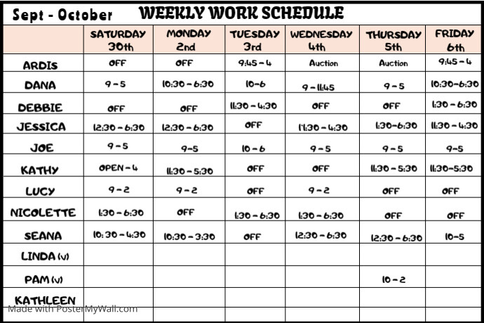 Copy of Copy of Weekly Work Schedule Template (1) | PosterMyWall