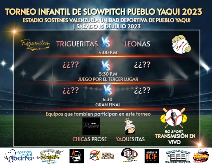 Copy of Cool Baseball Tournament Game Schedule Design | PosterMyWall