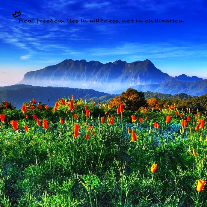 Copy of 043 | PosterMyWall