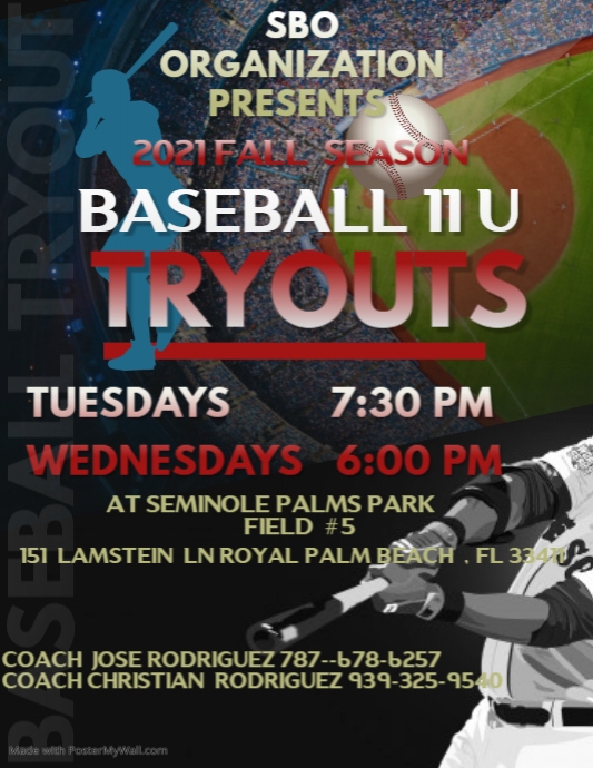 Copy of Baseball Tryouts Flyer | PosterMyWall