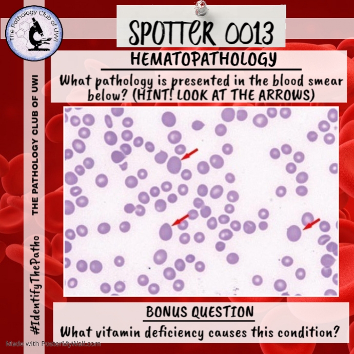 Question- S0013 | PosterMyWall