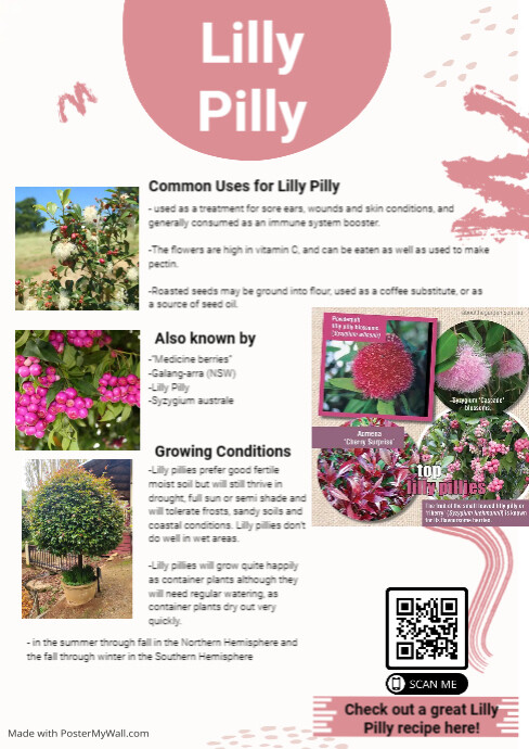 Sophia Lilly Pilly Poster | PosterMyWall