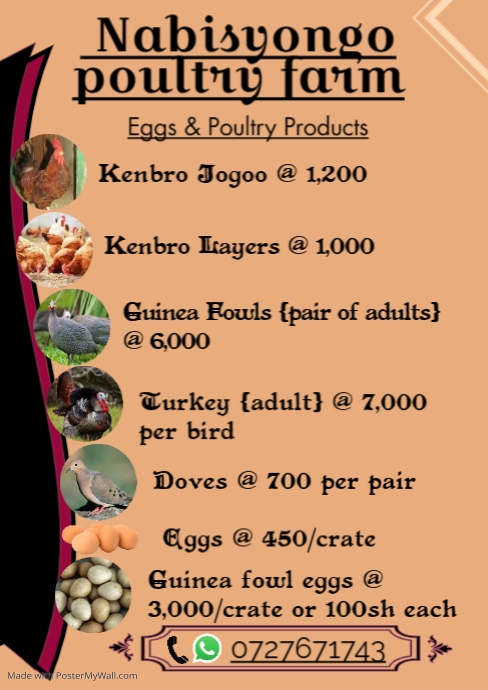 POULTRY FARM (1) | PosterMyWall