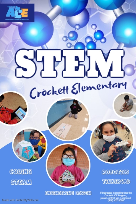 Copy of Stem Festival Flyer Template | PosterMyWall