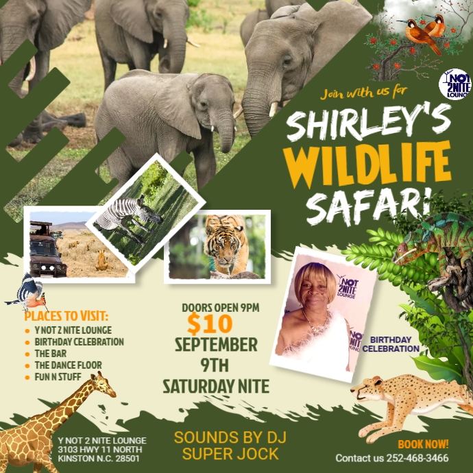 Wildlife Travel Social Media Post Template | PosterMyWall
