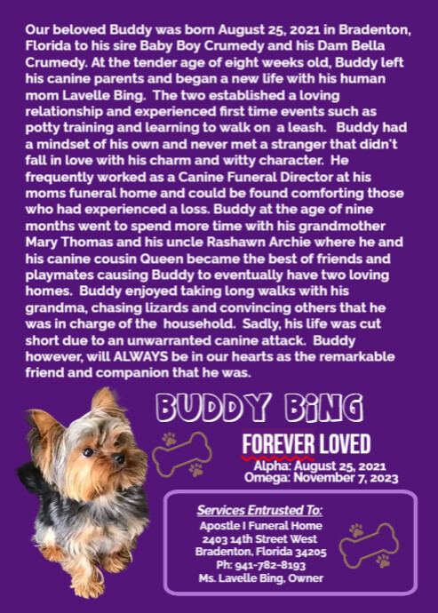 Copy of Dog Pet care wash service flyer template (3) | PosterMyWall