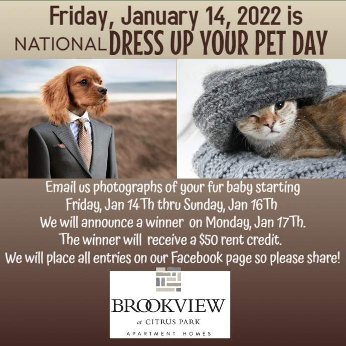 Copy of Copy of national dress up your pet day flyer | PosterMyWall
