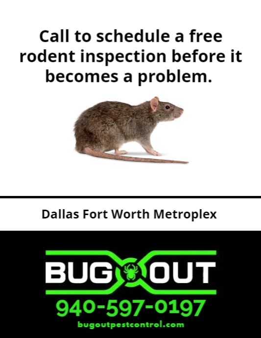 Copy of Rodent Flyer Front | PosterMyWall