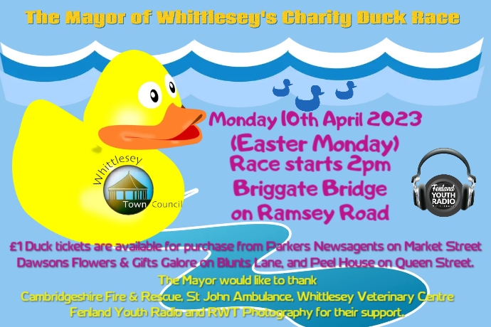 Copy of Fundraiser Duck Race (1) | PosterMyWall