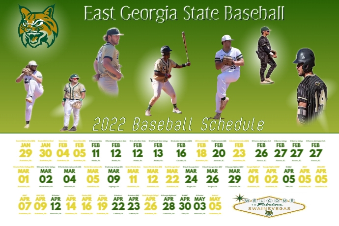 Copy of Baseball Team Schedule Poster | PosterMyWall