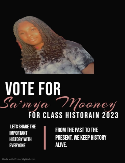 Vote For Flyer (1) | PosterMyWall