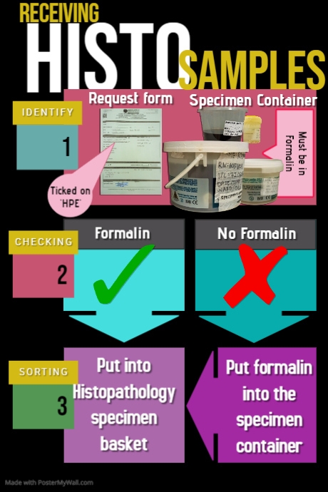 Copy of Sorting Histo samples | PosterMyWall