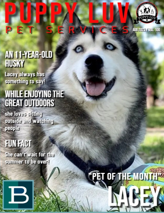 Copy of Lacey - Pet of the Month | PosterMyWall
