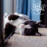 good night post Template | PosterMyWall