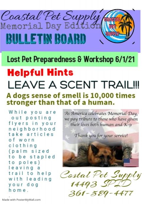 Copy of White and Pink Newspaper Layout | PosterMyWall