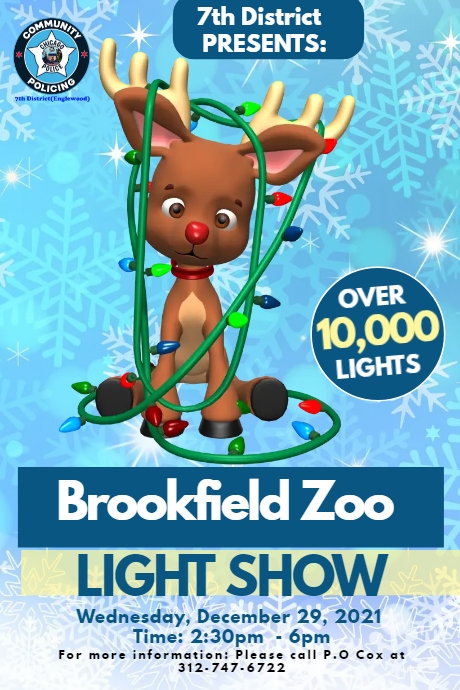 Copy of Christmas Light Show Poster | PosterMyWall