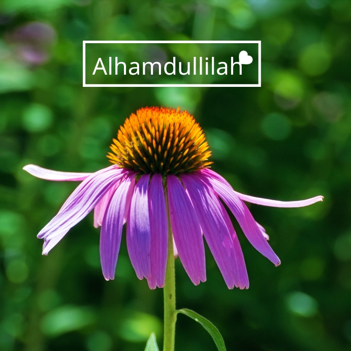 Copy of 107 Alhamdulillah | PosterMyWall