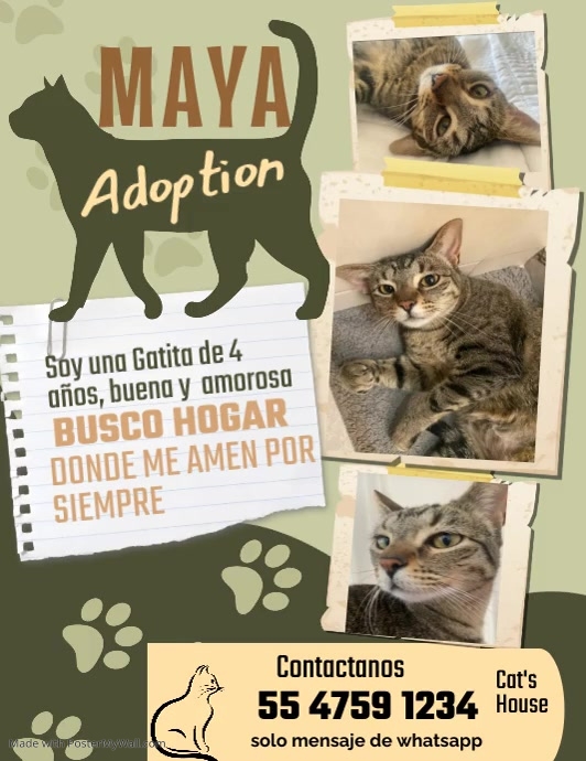 Cat Adoption Flyer | PosterMyWall
