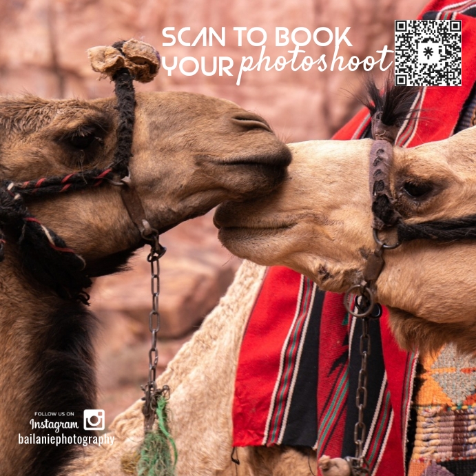 Plantilla de 66 Folleto de Fotografía Bailanie | PosterMyWall