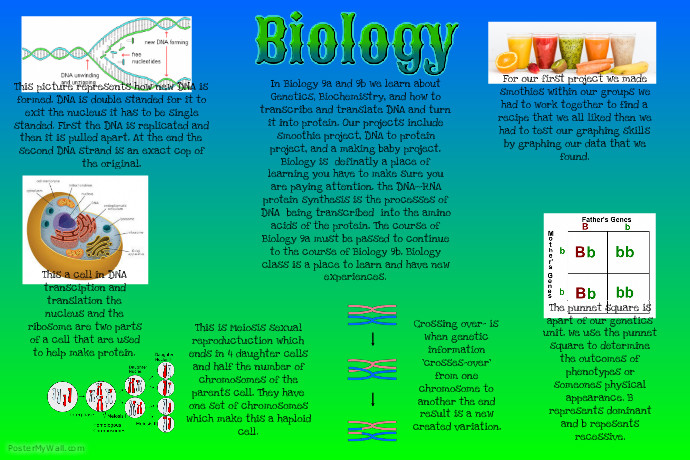 A New Poster | PosterMyWall