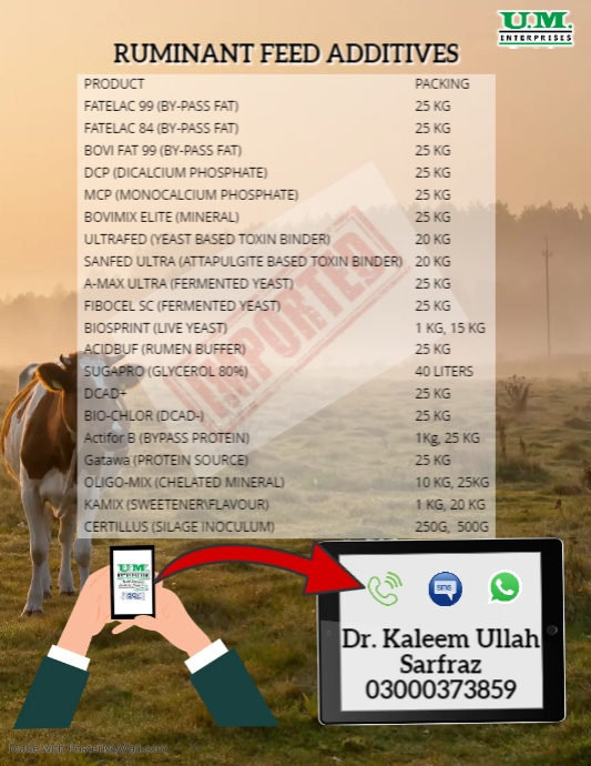 Copy of We are hiring jobs available flyer ad | PosterMyWall