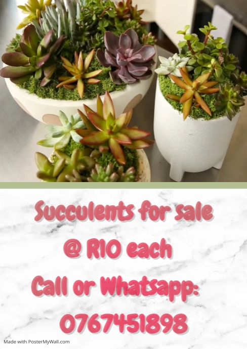 Template gardening succulent | PosterMyWall