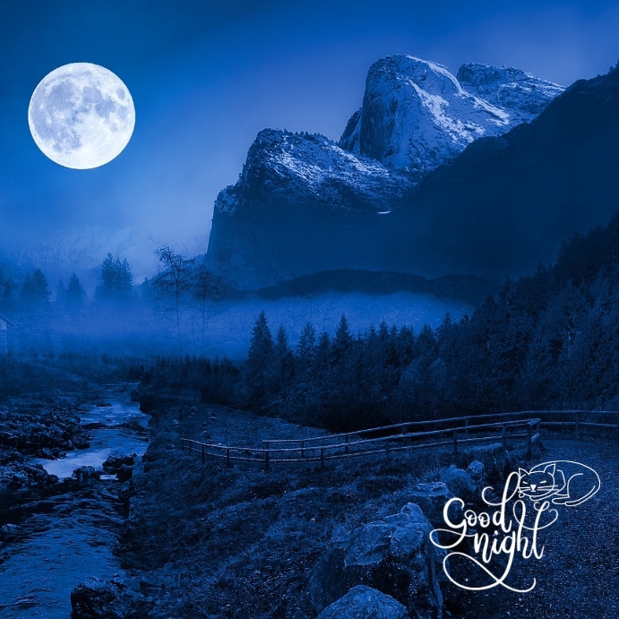 Copy of 120 Good Night | PosterMyWall