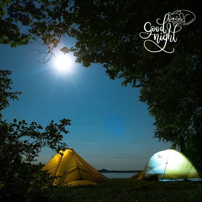 128 Good Night Template | PosterMyWall