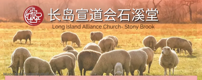 Welcome Roll up Banner | PosterMyWall