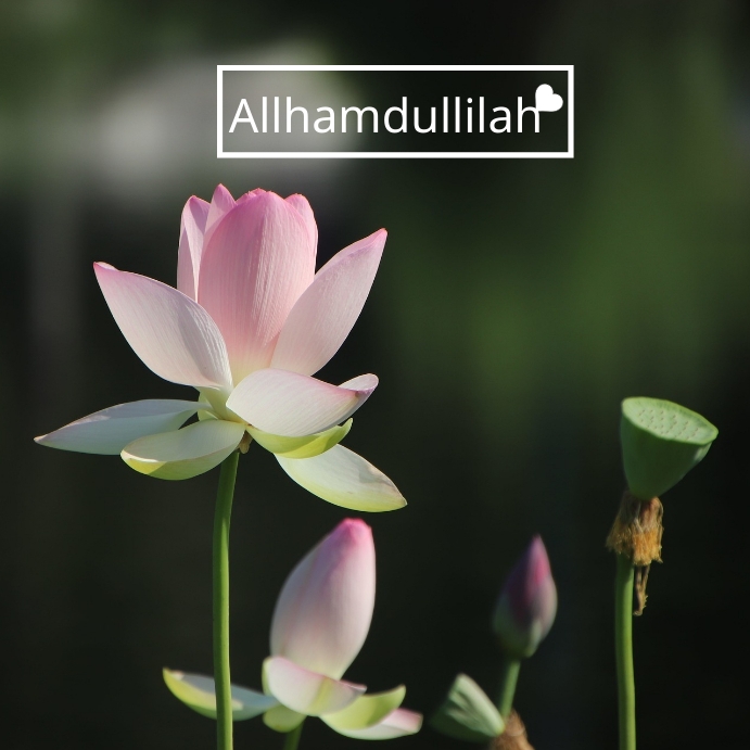 Copy of 140 Allhamdulillah | PosterMyWall