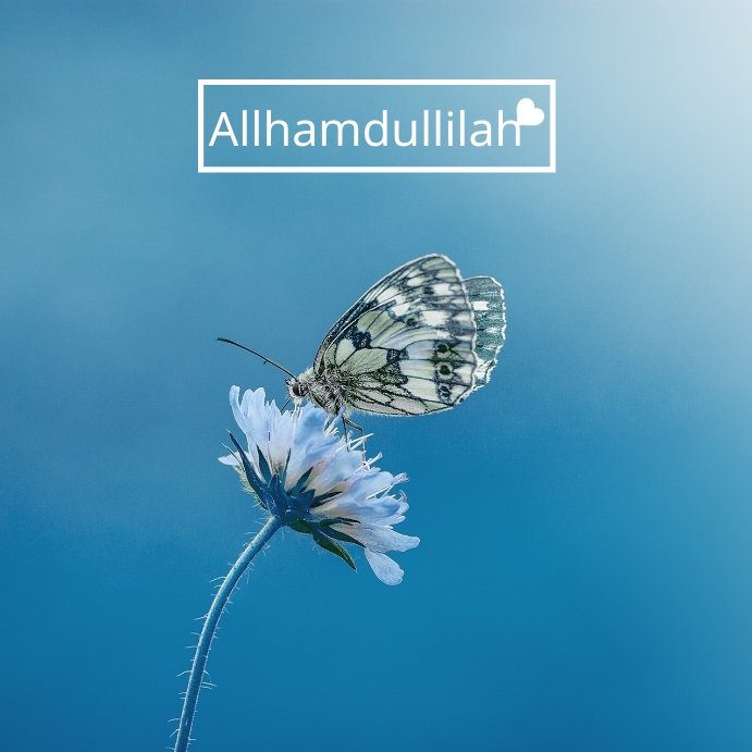 141 Allhamdulillah Template | PosterMyWall