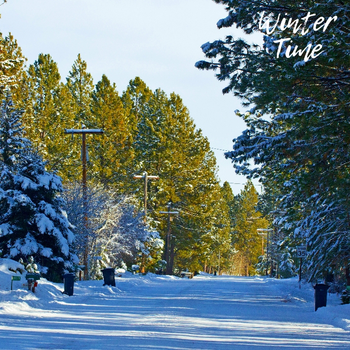 144 Winter Template | PosterMyWall