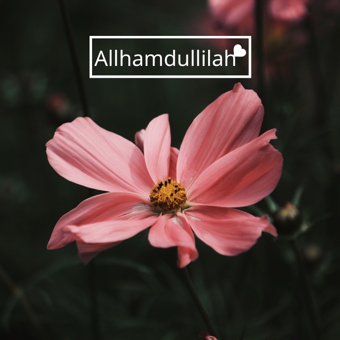 Copy of 145 Allhamdulillah | PosterMyWall