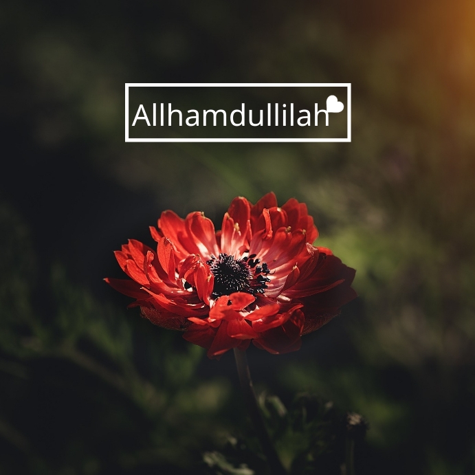 146 Allhamdulillah Template | PosterMyWall