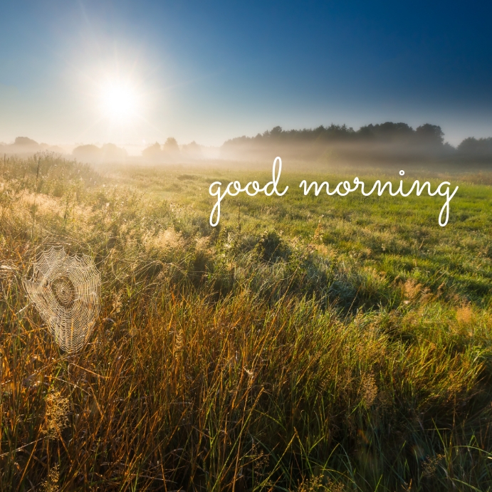 Copy of 16 Good Morning | PosterMyWall