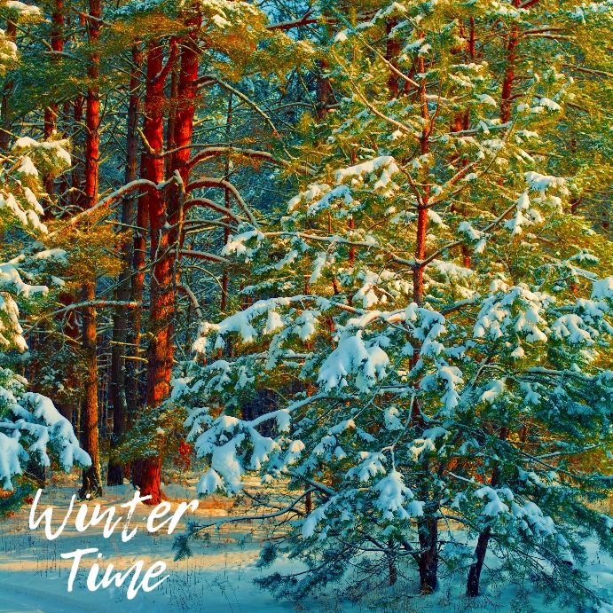 167 Winter Template | PosterMyWall