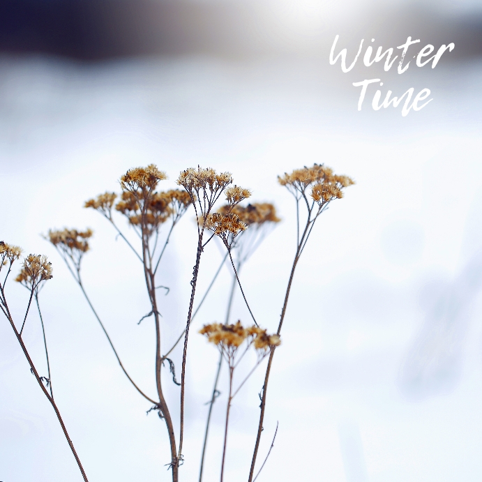174 Winter Template | PosterMyWall